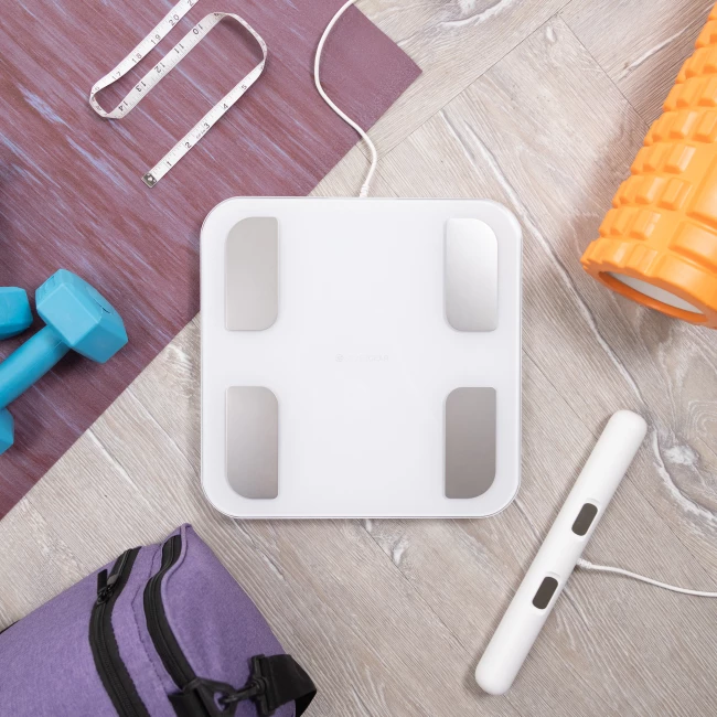 Smart Pro Weighing Scale with Handle and App | Silvergear - Silvergear