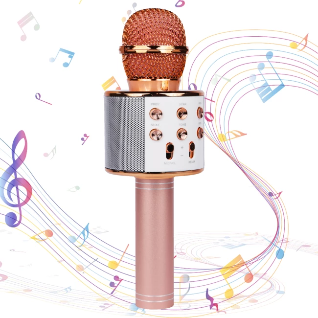 Karaoke Microphone Wireless - Black - Silvergear